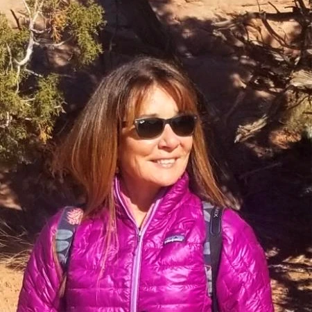 Ladris | Democratizing Data